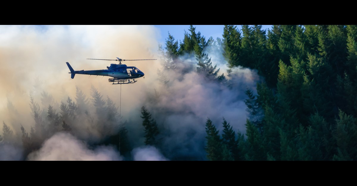 Wildfire Preparedness and Response Guide | AJG United States