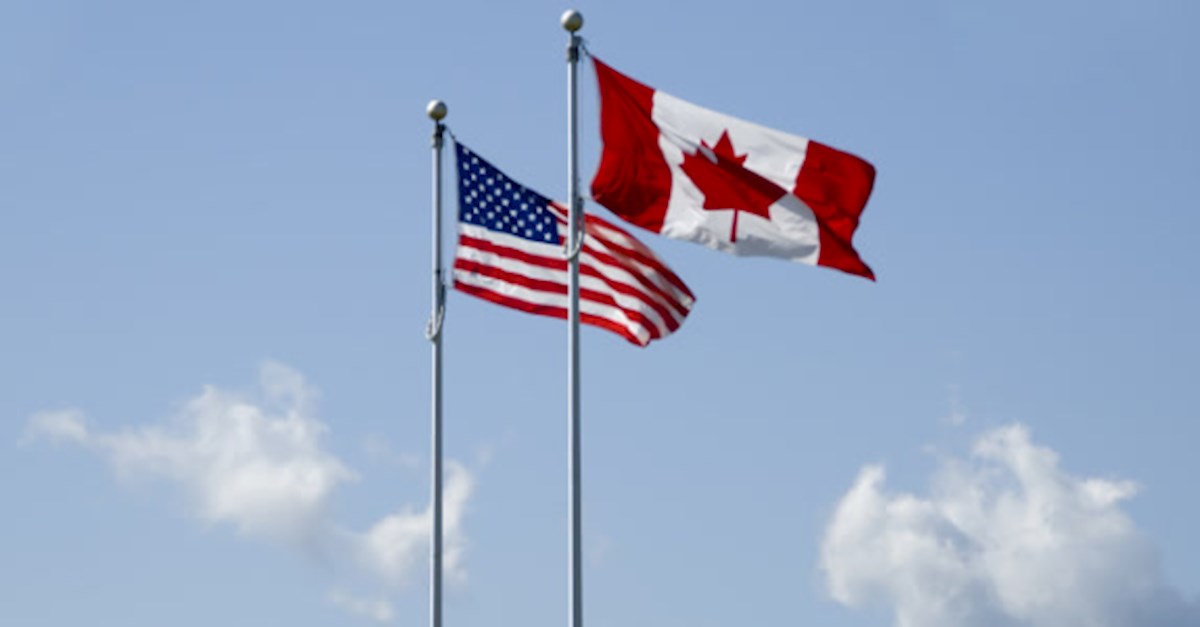 NGOs: Navigating a Different World in 2025 and Beyond | AJG United States