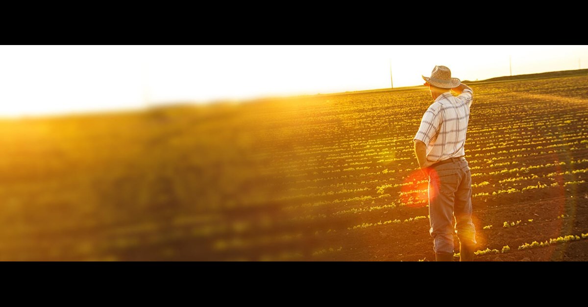 Agricultural Insurance | Gallagher AU