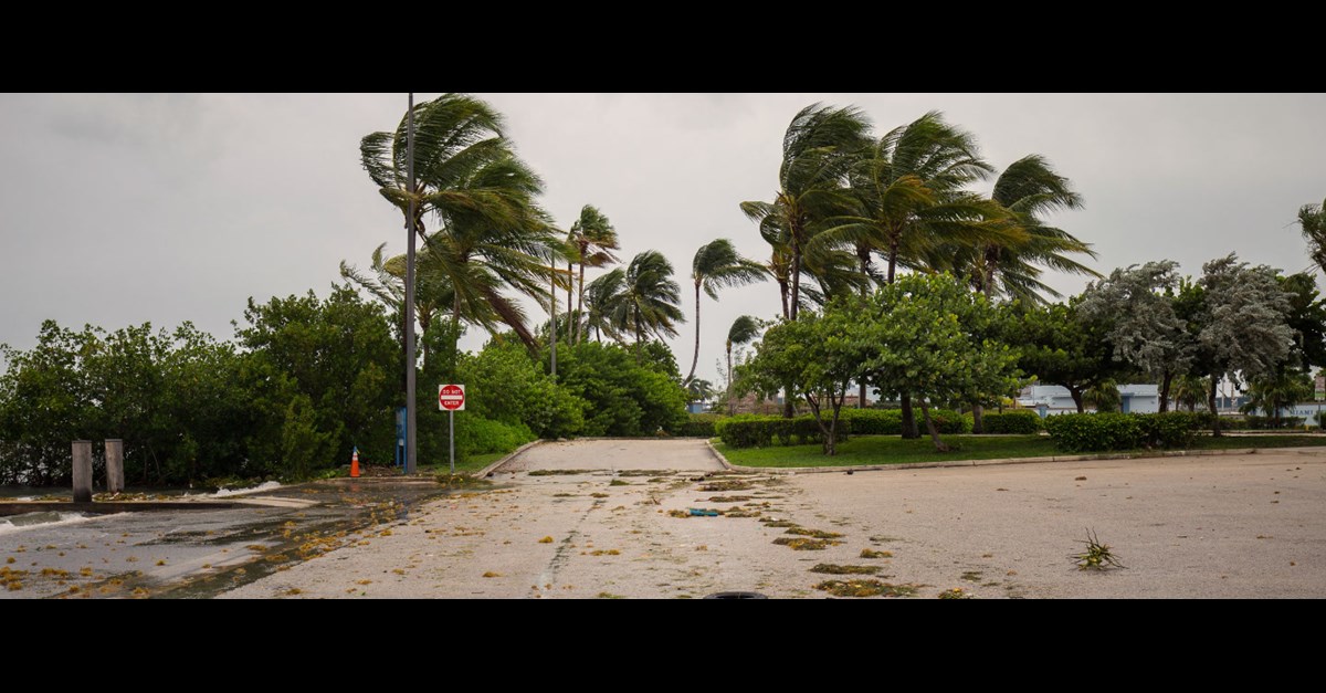 Cyclone Preparedness | AJG Australia