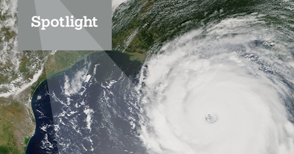 Hurricane Katrina: A Natural and Human-Made Catastrophe | AJG Australia