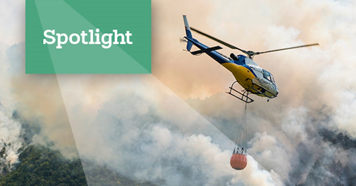 World on Fire 2025: Impacts of an Expanding Wildfire Season | AJG Australia