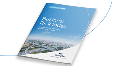 Business Insurance, Risk Management and Consulting Services | AJG ...