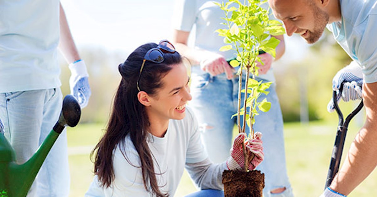 Charity Risk Focus Newsletter - Edition 1 | AJG United Kingdom