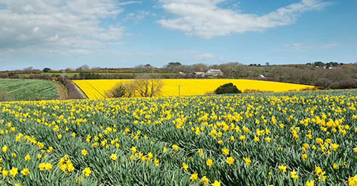 Risk Matters: Spring 2024 Update | AJG United Kingdom