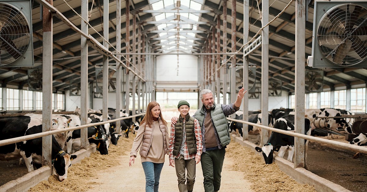 Agriculture, Rural Estate and Farming Insurance | AJG United Kingdom